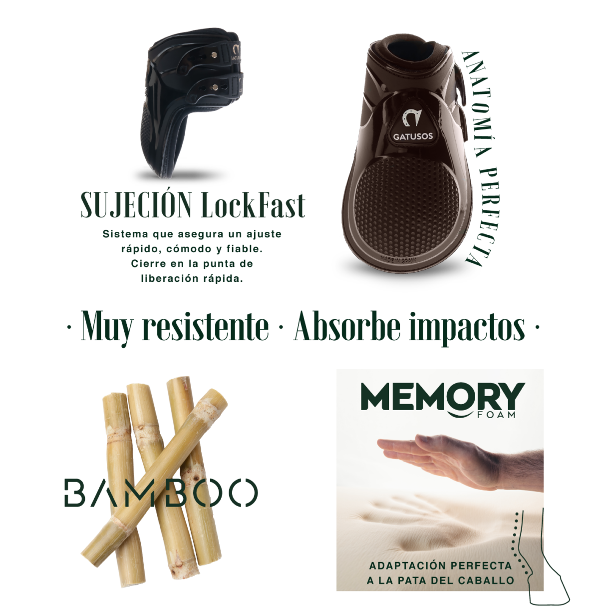 Menudillo Inside Pegasus - Gatusos